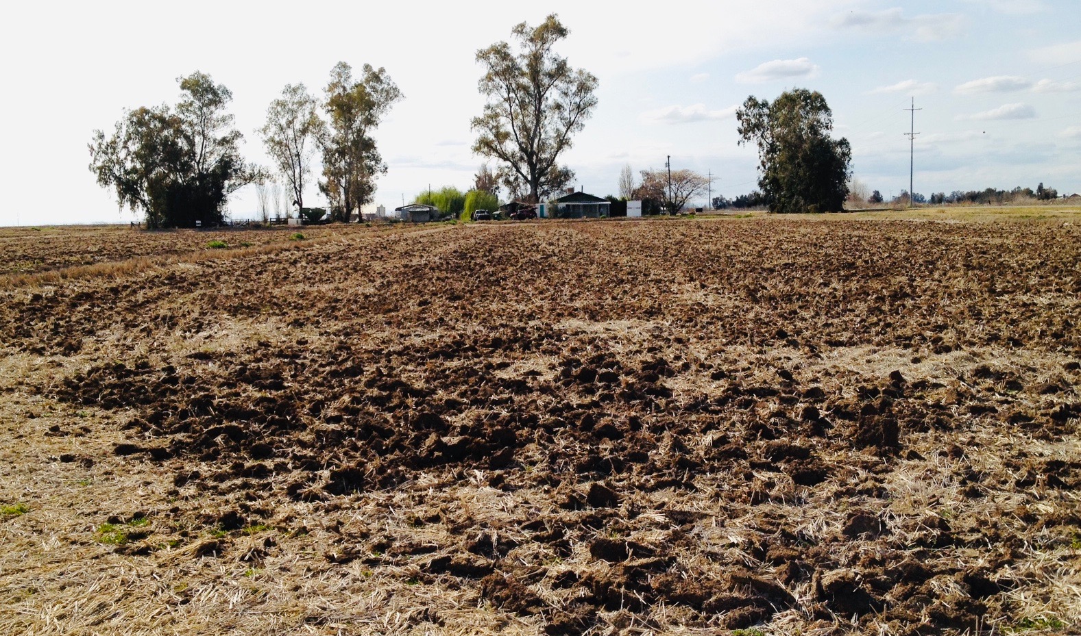 Family – It's My Serve